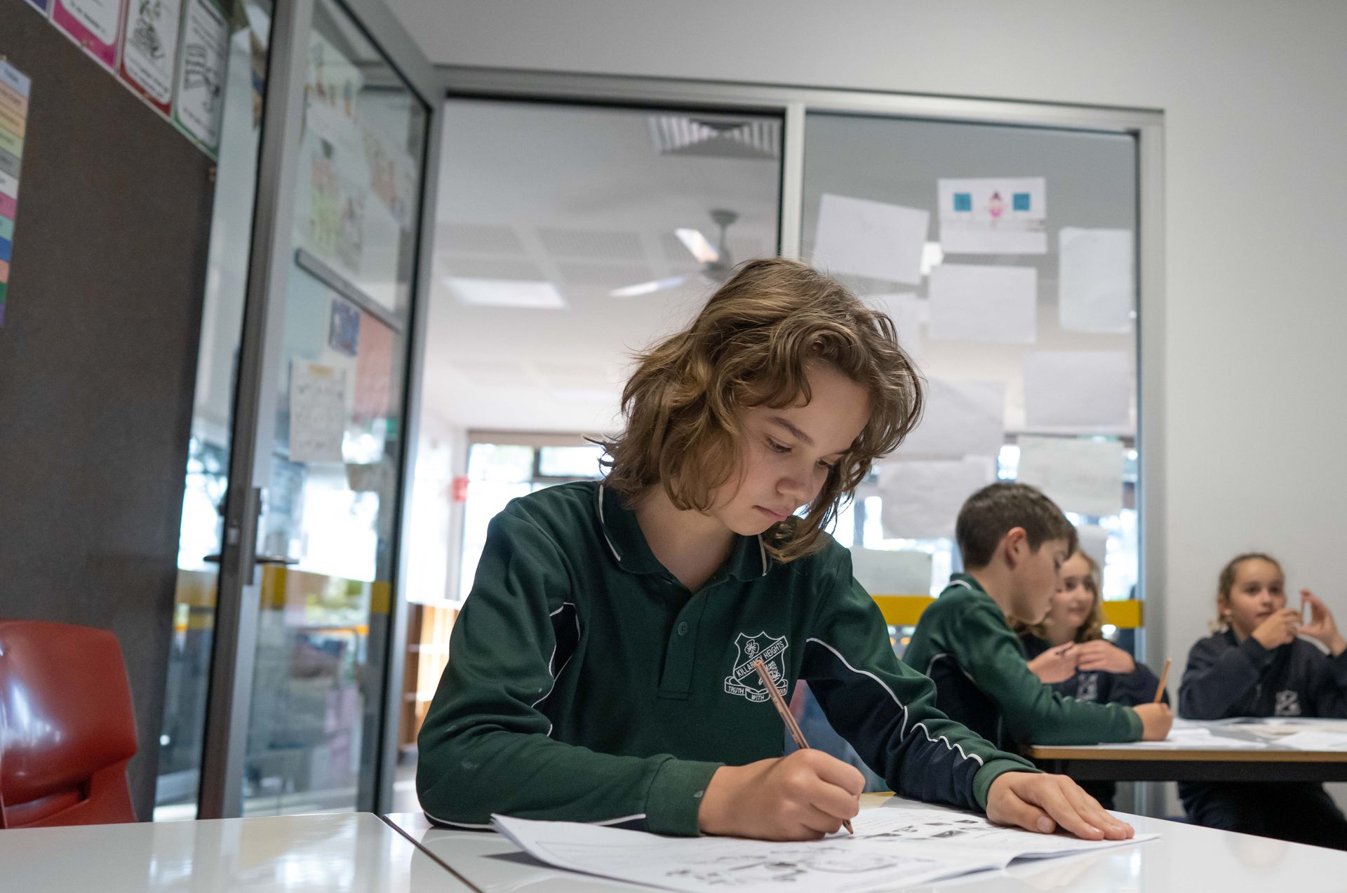 Primary School | FANS